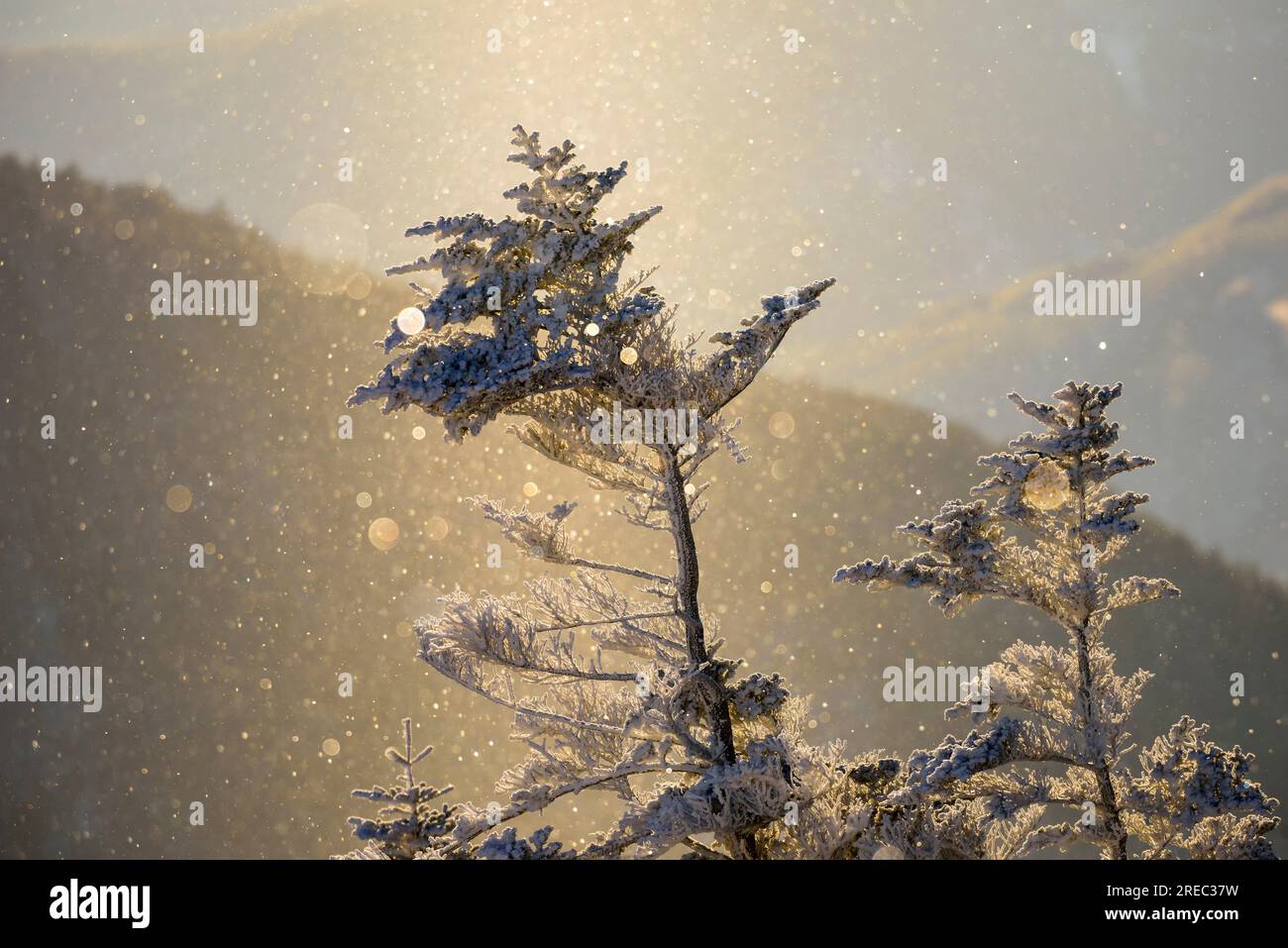 Dust days hi-res stock photography and images - Alamy
