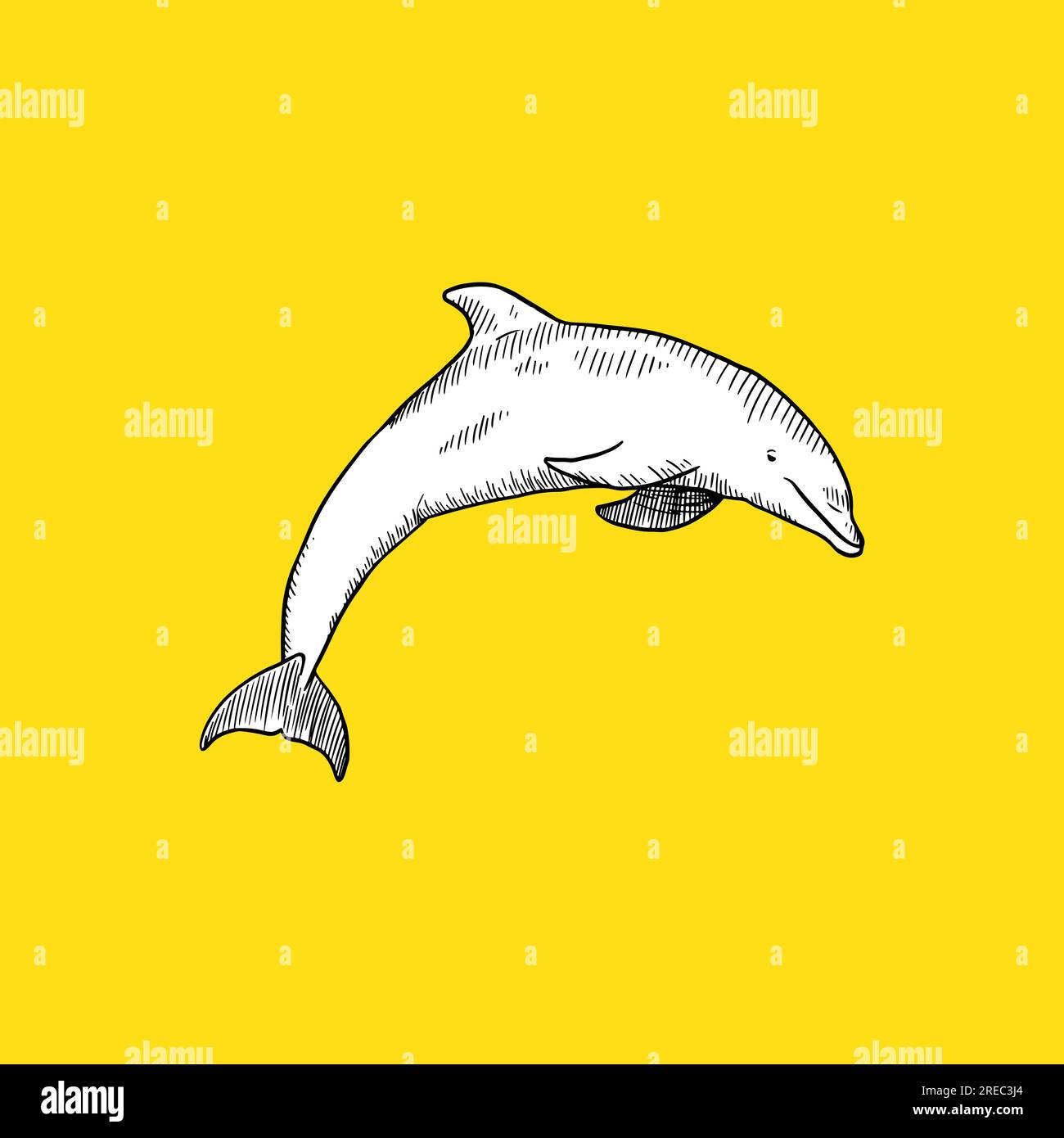 Hand Drawn Dolphin. Vector Illustration Stock Vector Image & Art - Alamy
