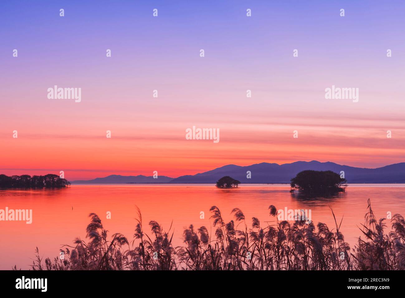 Historic biwa hi-res stock photography and images - Alamy