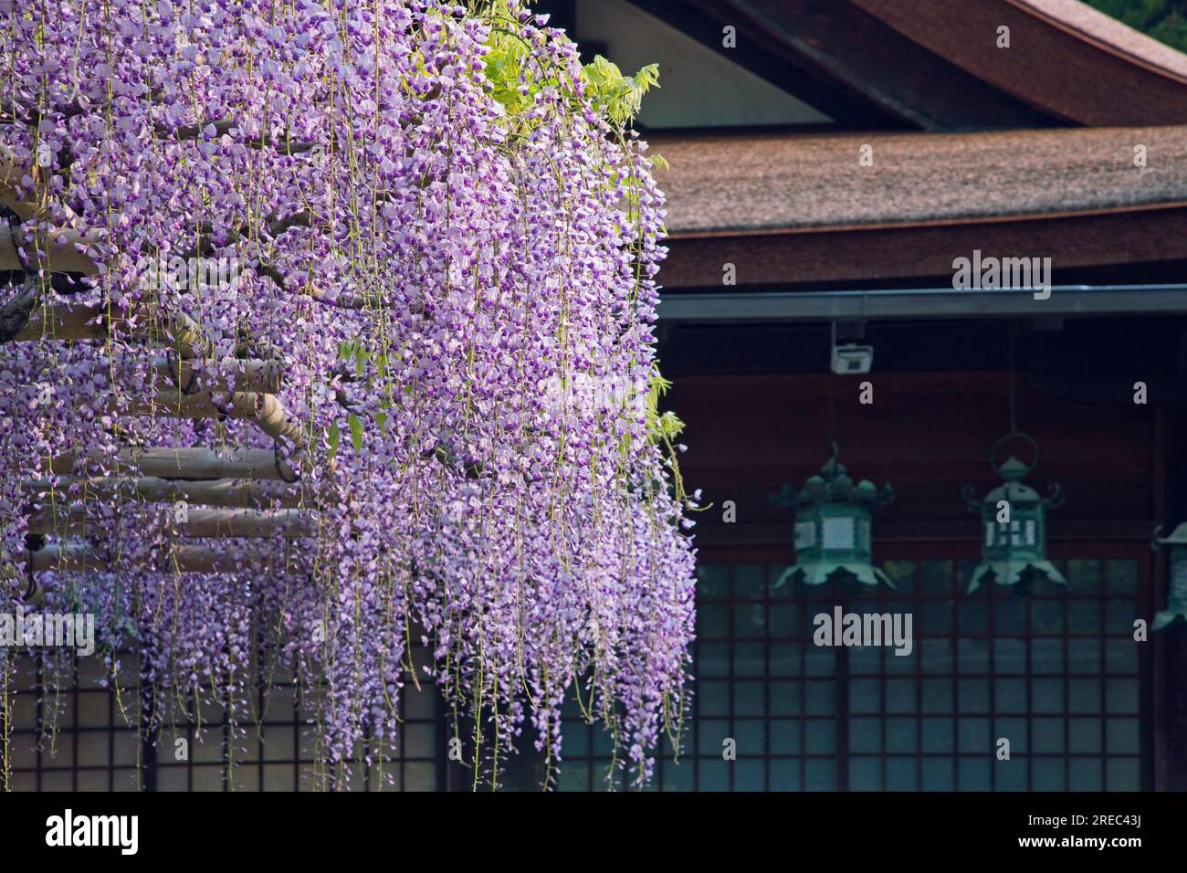 Fuji of sunajiri hi-res stock photography and images - Alamy
