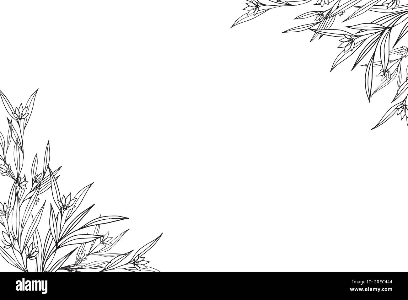 Vector hand drawn botanical frame with flowers. Elegant minimal style ...