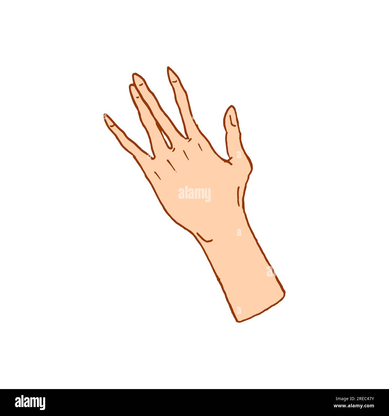 Gestures arms stop, palm, thumbs up, finger pointer, ok, like and pray ... Gestures arms stop, palm, thumbs up, finger pointer, ok, like and pray ...