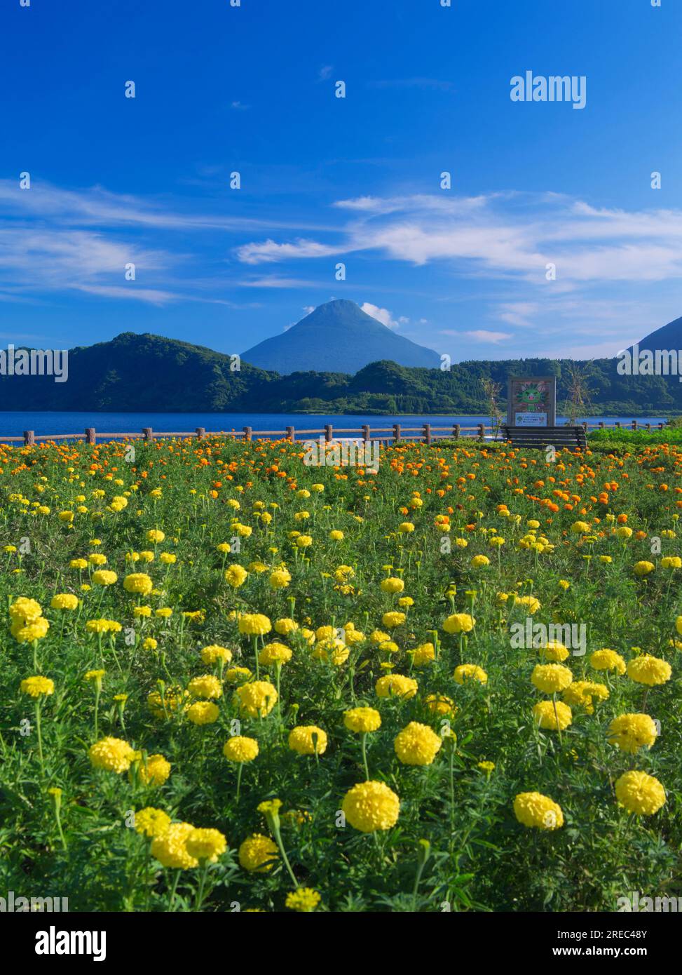 Ikeda japan hi-res stock photography and images - Alamy