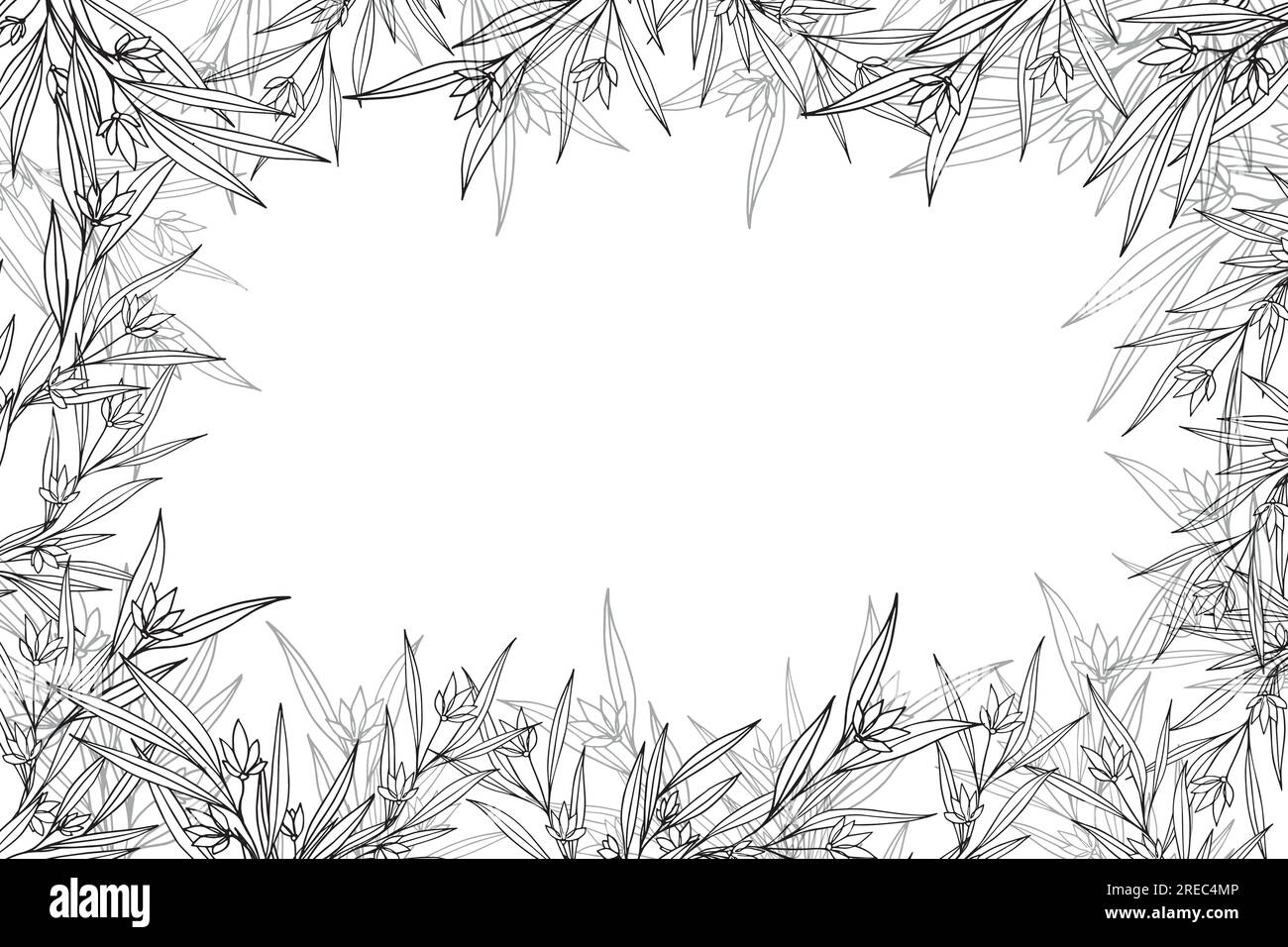 Vector hand drawn botanical frame with flowers. Elegant minimal style ...