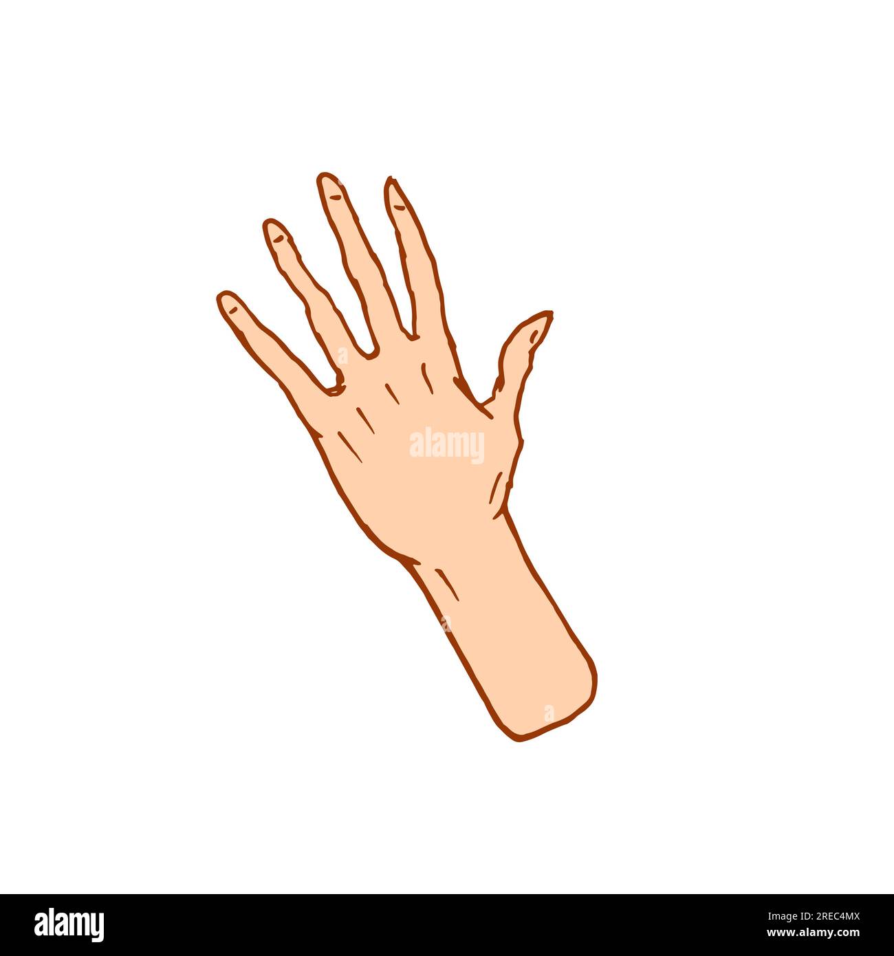 Gestures arms stop, palm, thumbs up, finger pointer, ok, like and pray ... Gestures arms stop, palm, thumbs up, finger pointer, ok, like and pray ...