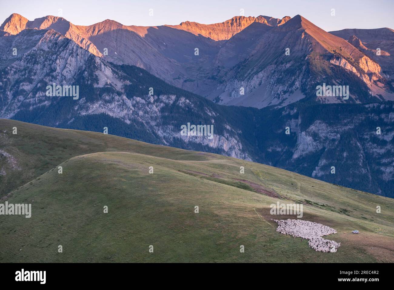 Transhumant hi-res stock photography and images - Alamy