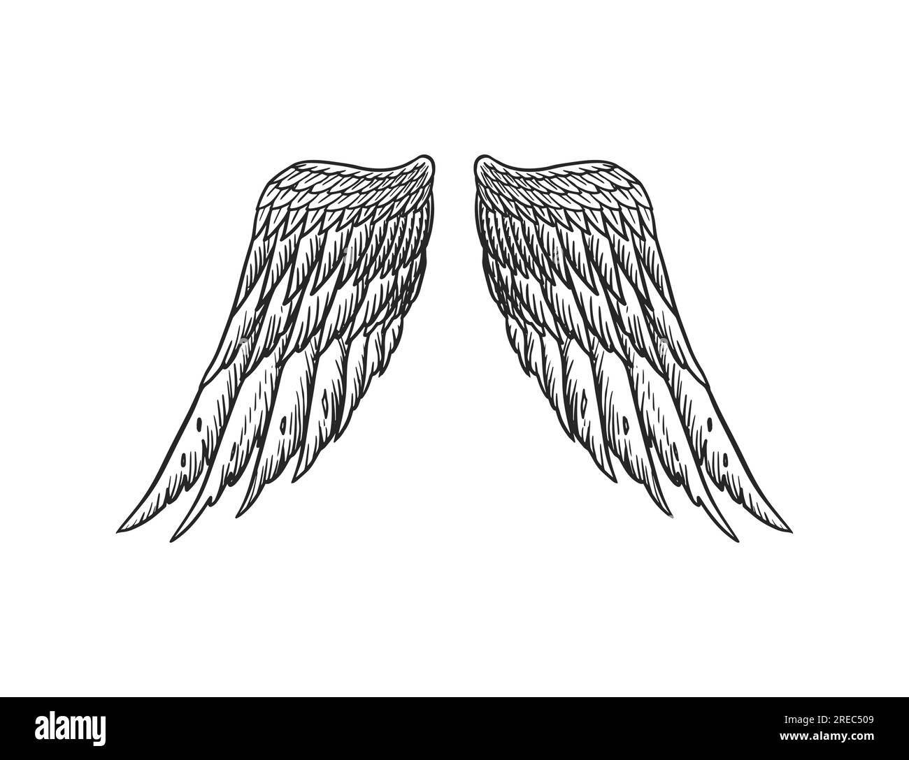 Set of Angel wings in vintage style. Template for tattoo and emblems, t ...