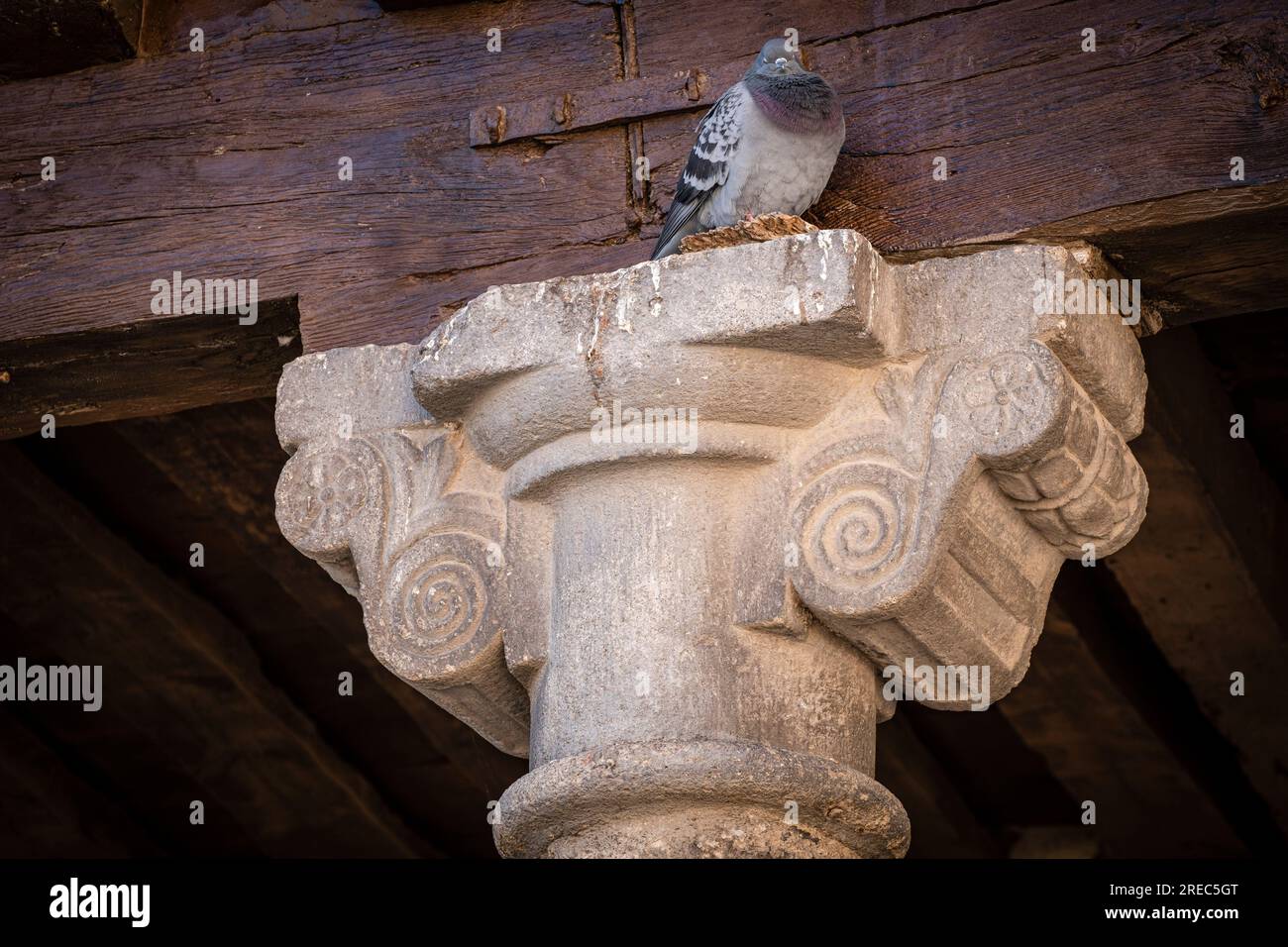 Typical column hi-res stock photography and images - Alamy