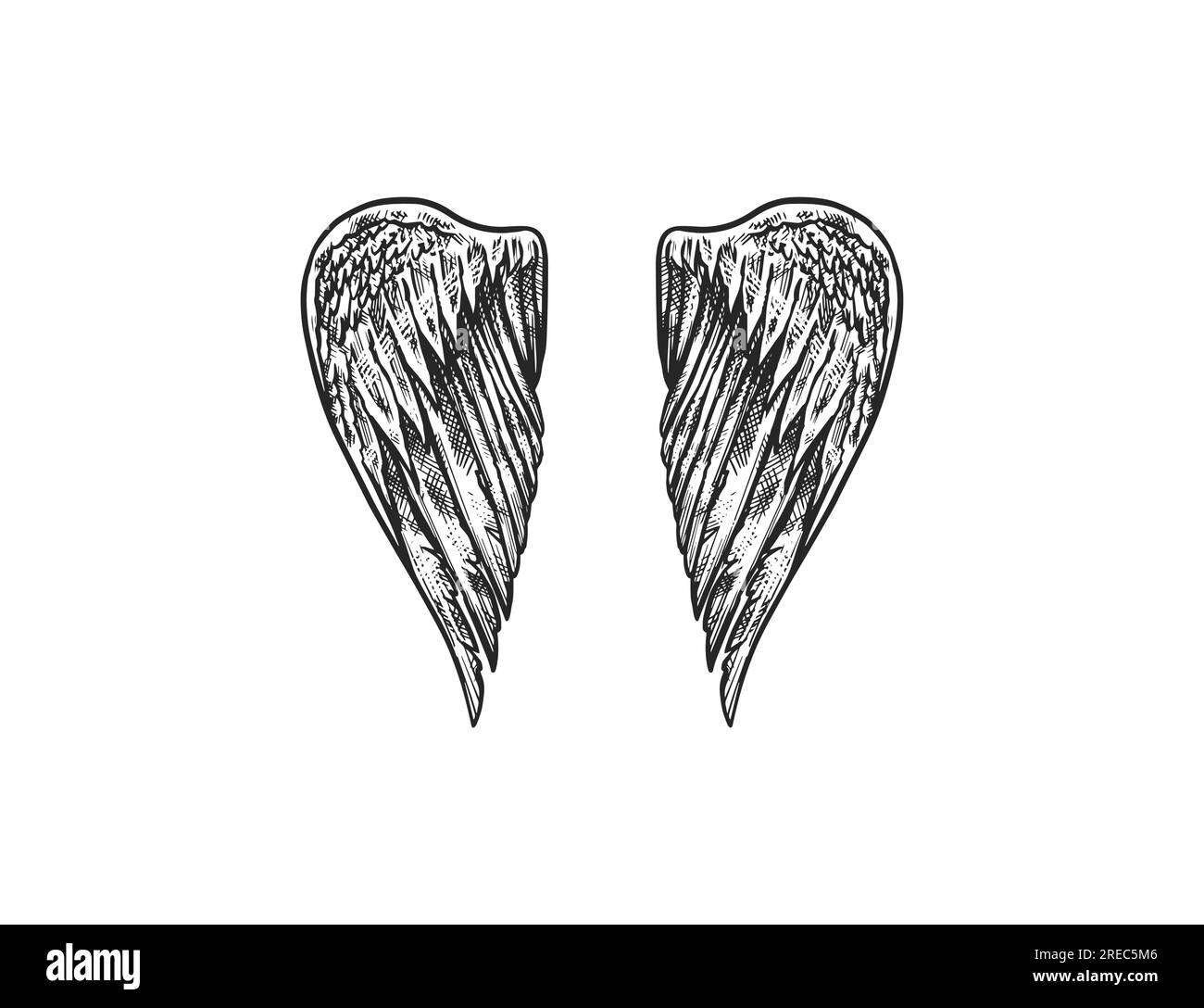 Set of Angel wings in vintage style. Template for tattoo and emblems, t ...