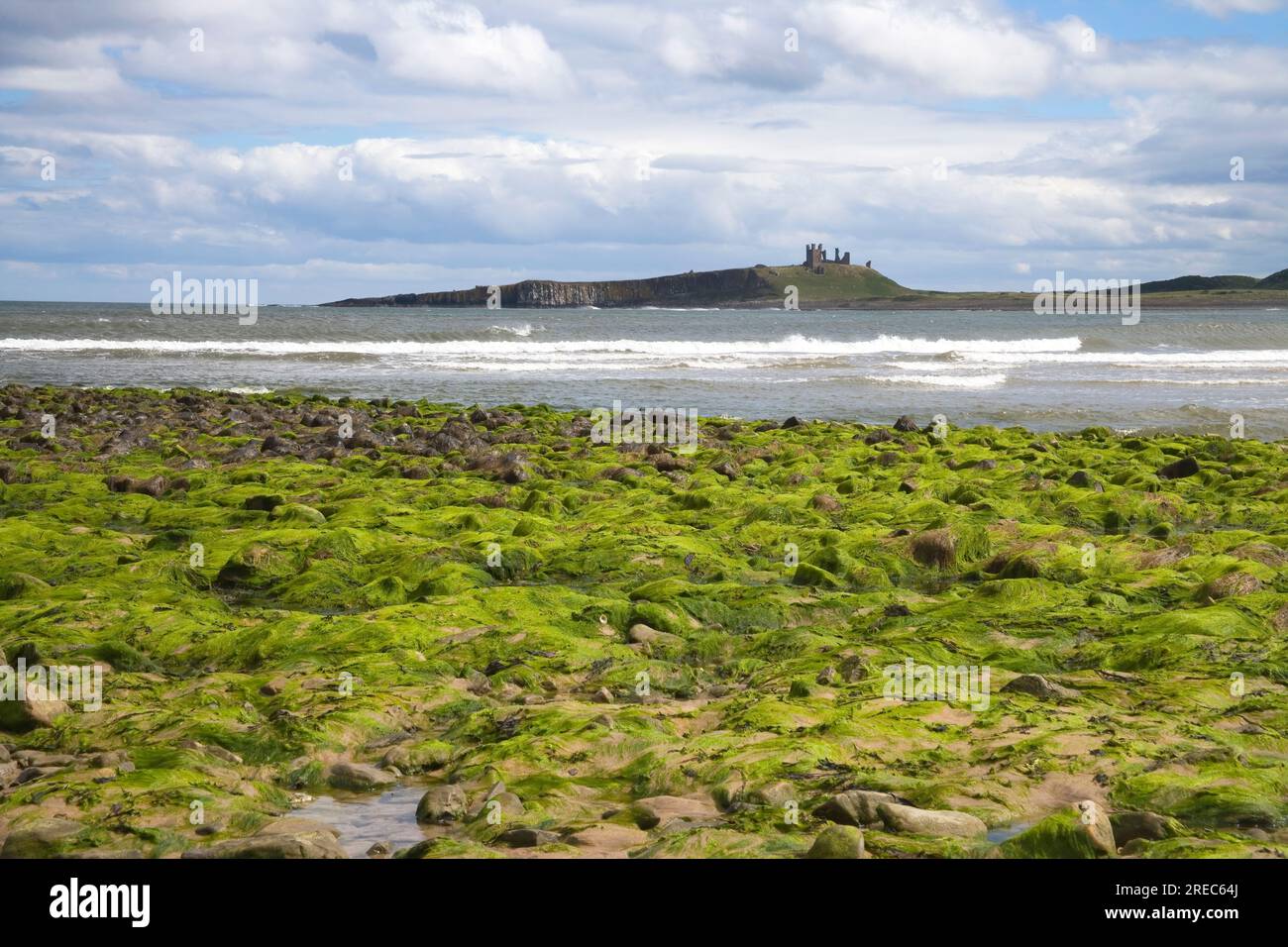 low newton by the sea looking towards dunstanburgh castle on the ...