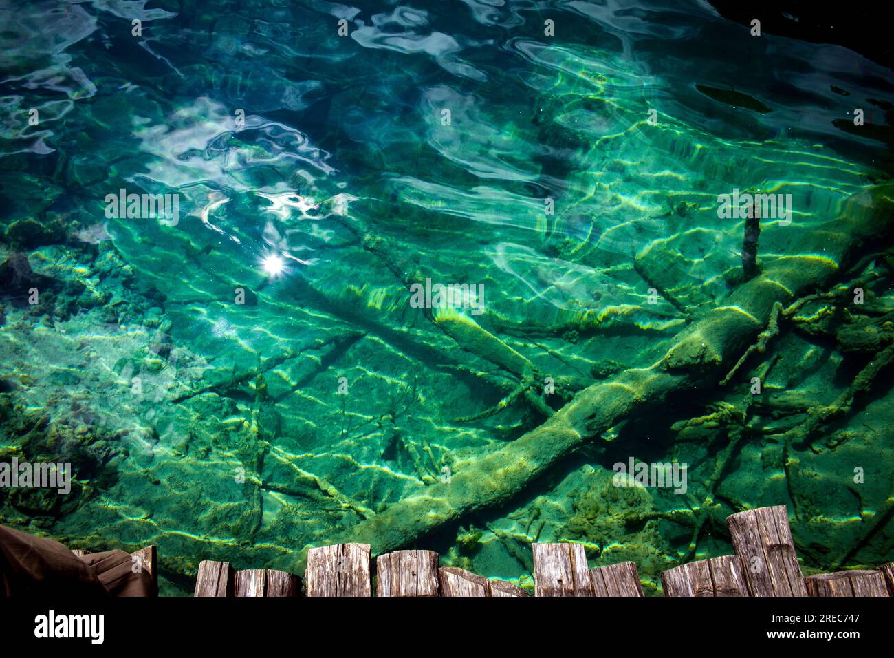 Transparent lake hi-res stock photography and images - Alamy