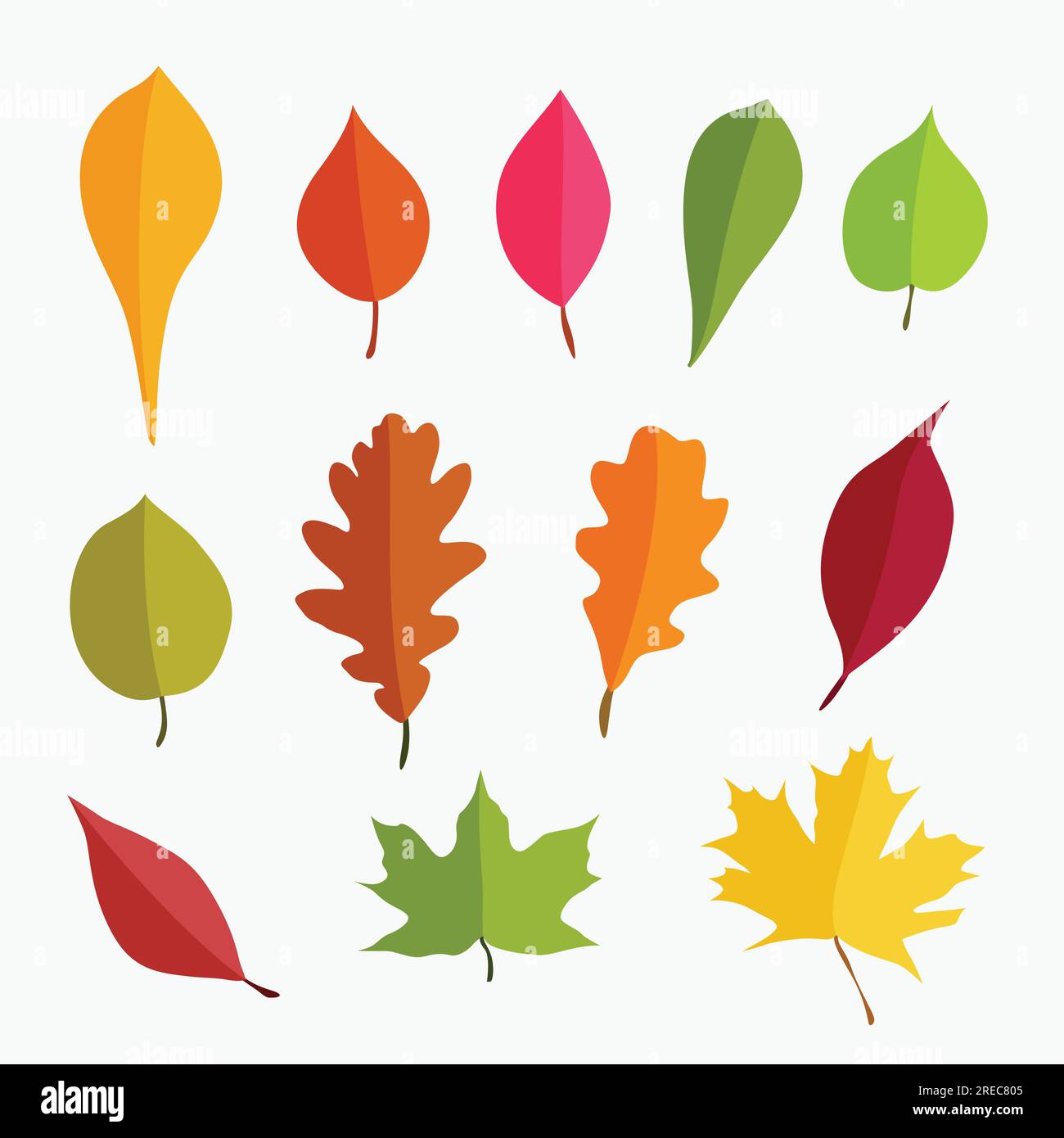 Autumn leaves chestnut linden Stock Vector Images - Alamy