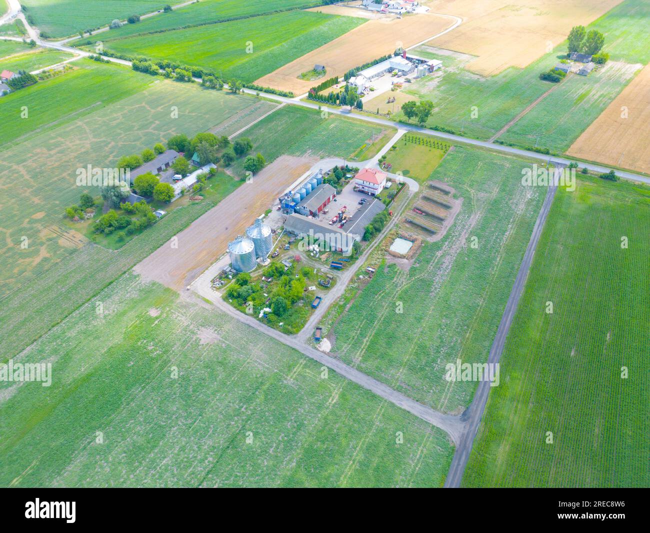 Aerial view of farm, red barns, corn field in September. Harvest season ...