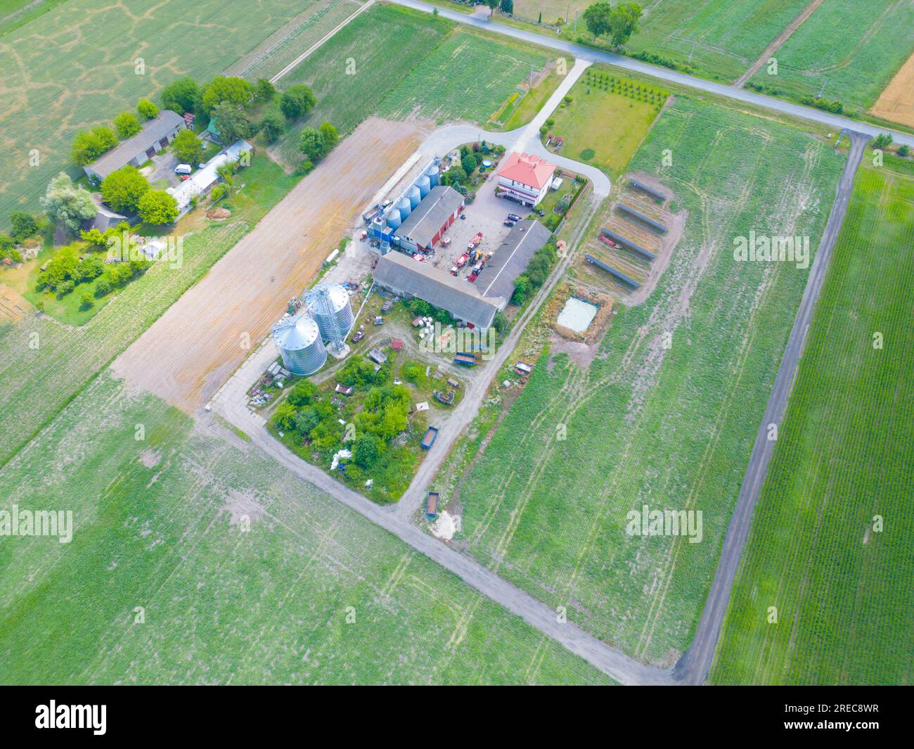 Aerial view of farm, red barns, corn field in September. Harvest season ...