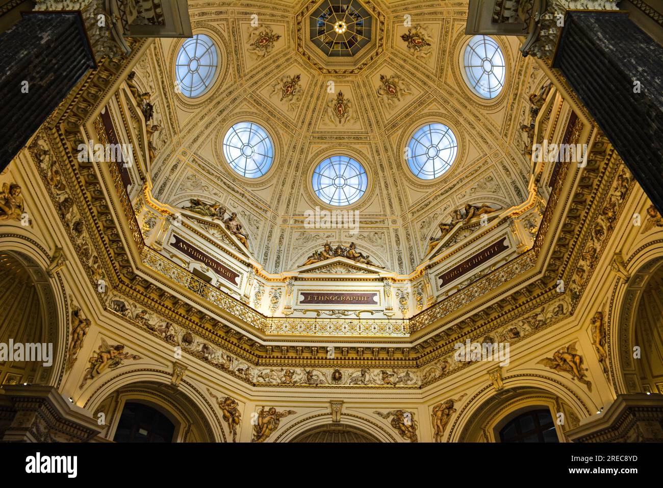 Interior View of the Beautiful Dome of the Natural History Museum in ...