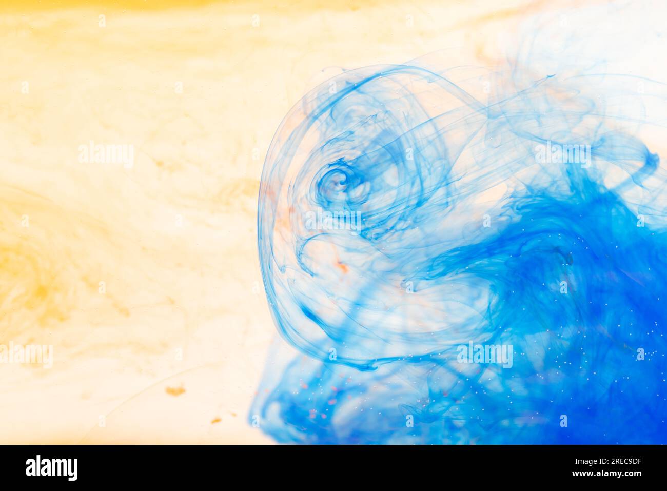 Close up of yellow and blue ink in water with copy space background ...