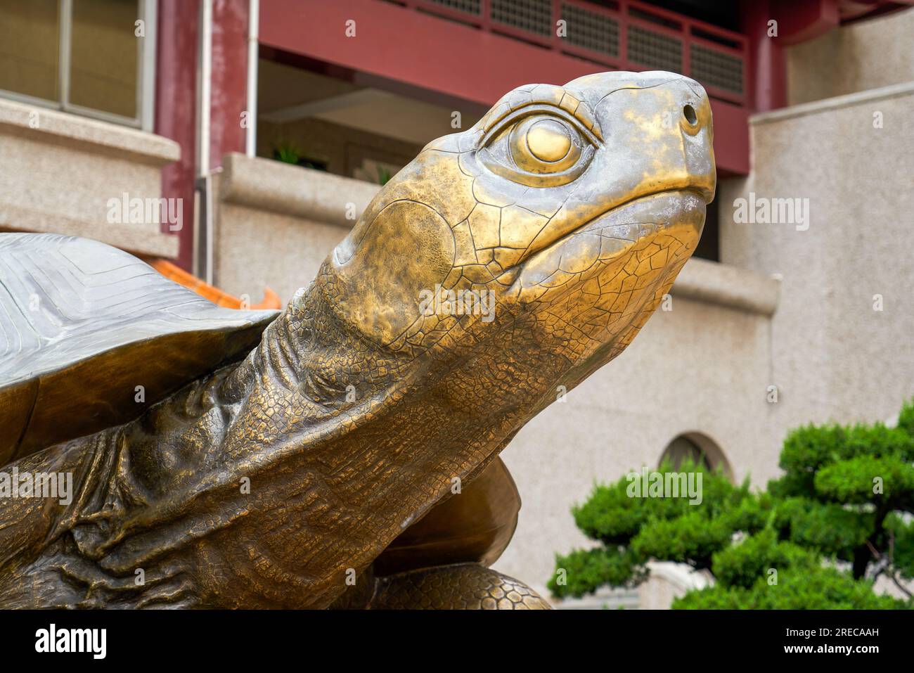 Brass turtle sculpture in luxury Chinese garden Stock Photo - Alamy