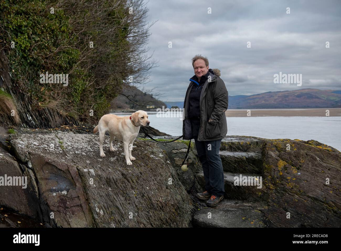 Man walking yellow labrador dog hi-res stock photography and images - Alamy