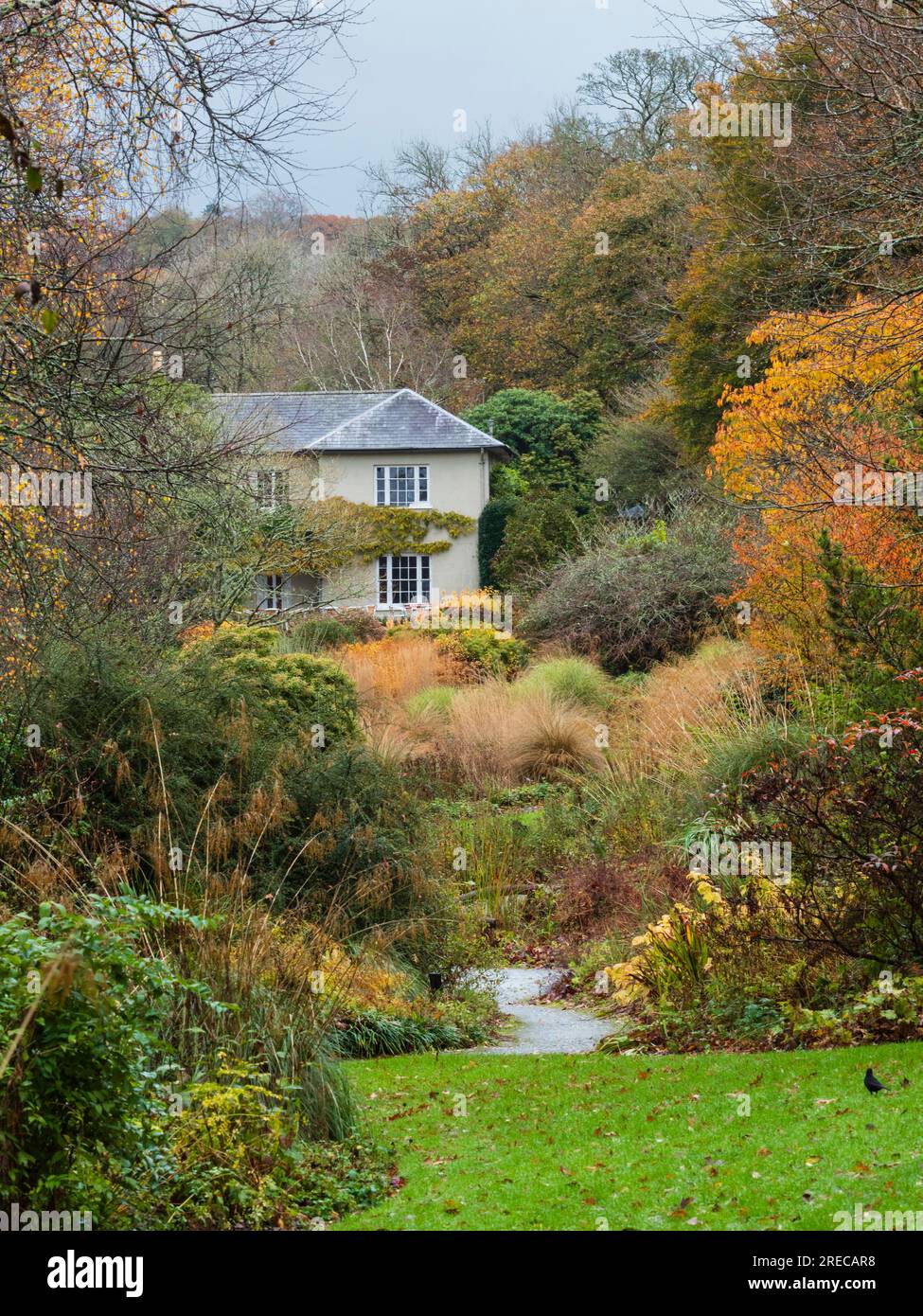 Autumn colour in a view across the long walk at The Garden House ...