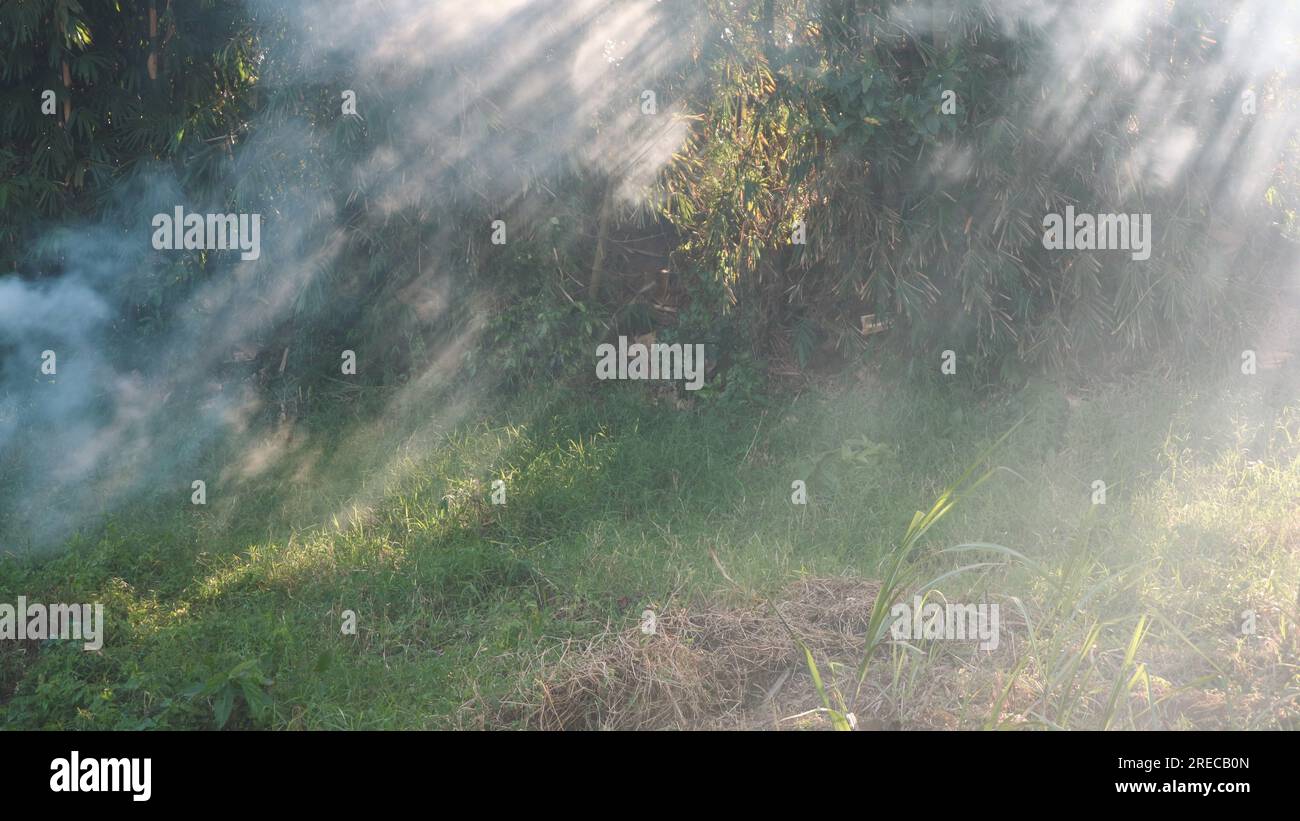 Burning after harvesting at the field, smoky fields Stock Photo - Alamy