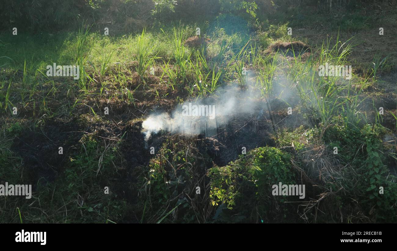 Aerial view burning wheat field hi-res stock photography and images - Alamy