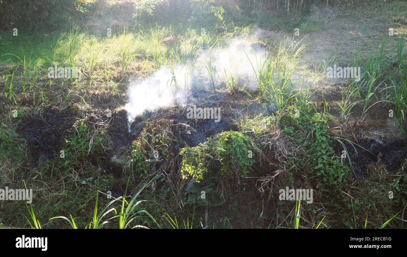 Aerial view burning wheat field hi-res stock photography and images - Alamy