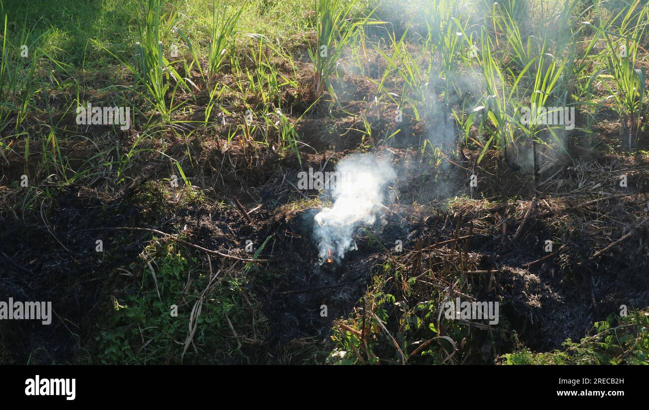 Aerial view burning wheat field hi-res stock photography and images - Alamy