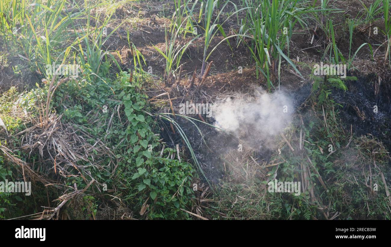 Aerial view burning wheat field hi-res stock photography and images - Alamy