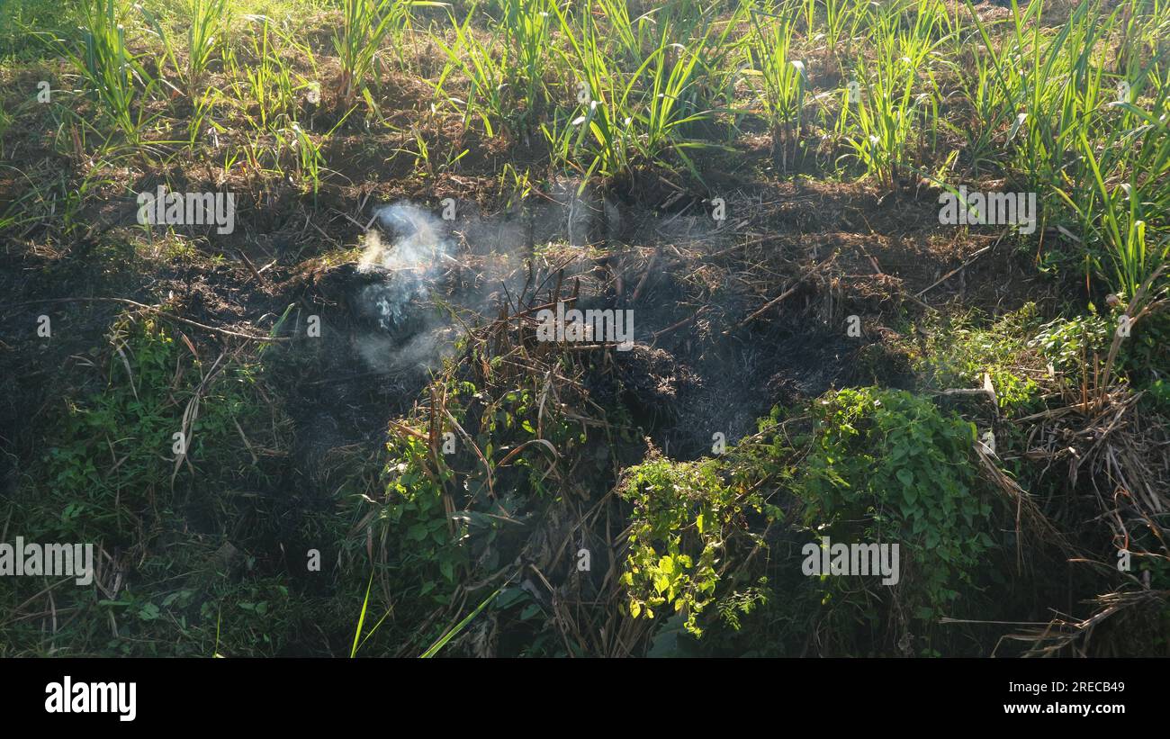 Aerial view burning wheat field hi-res stock photography and images - Alamy