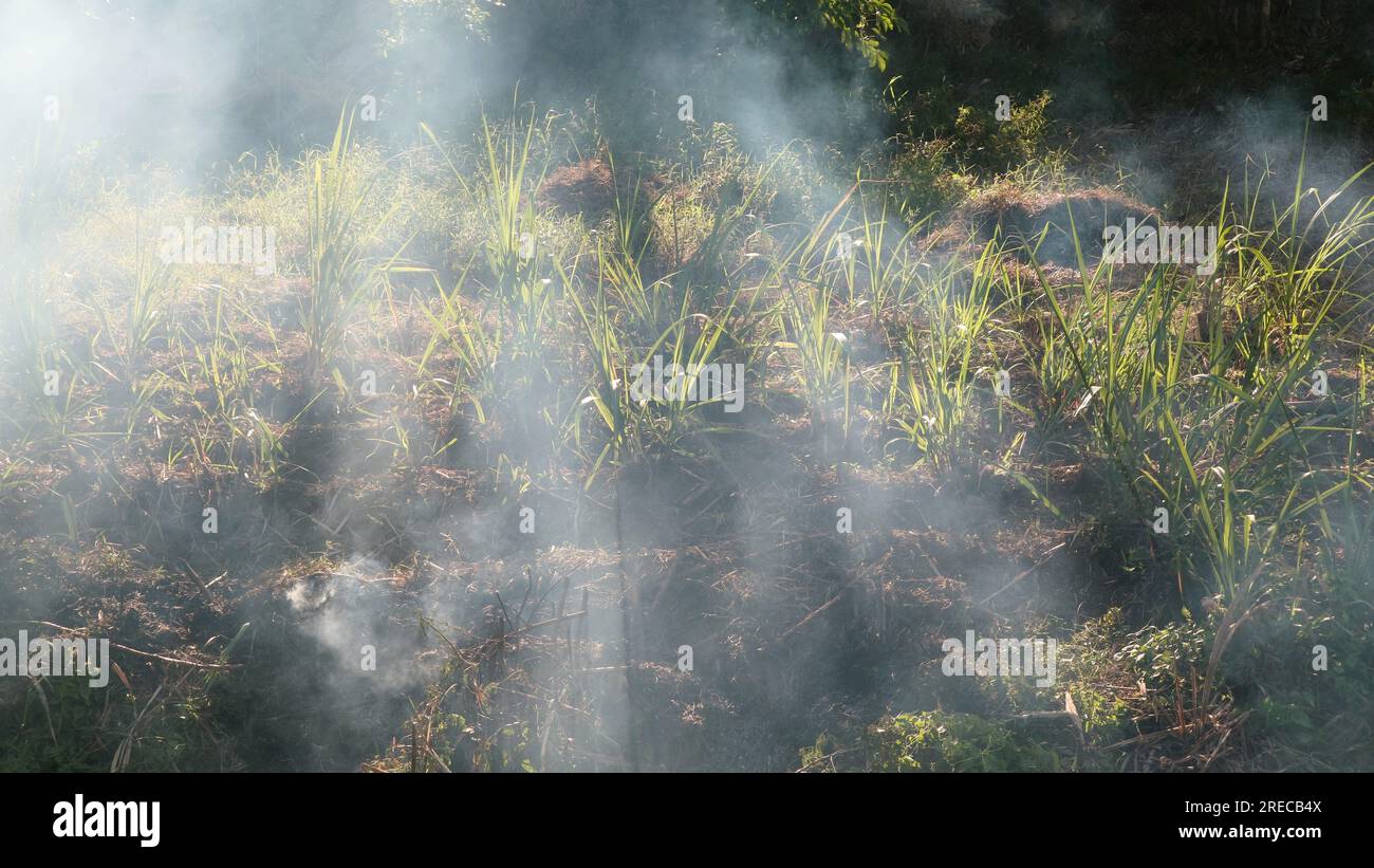 Aerial view burning wheat field hi-res stock photography and images - Alamy