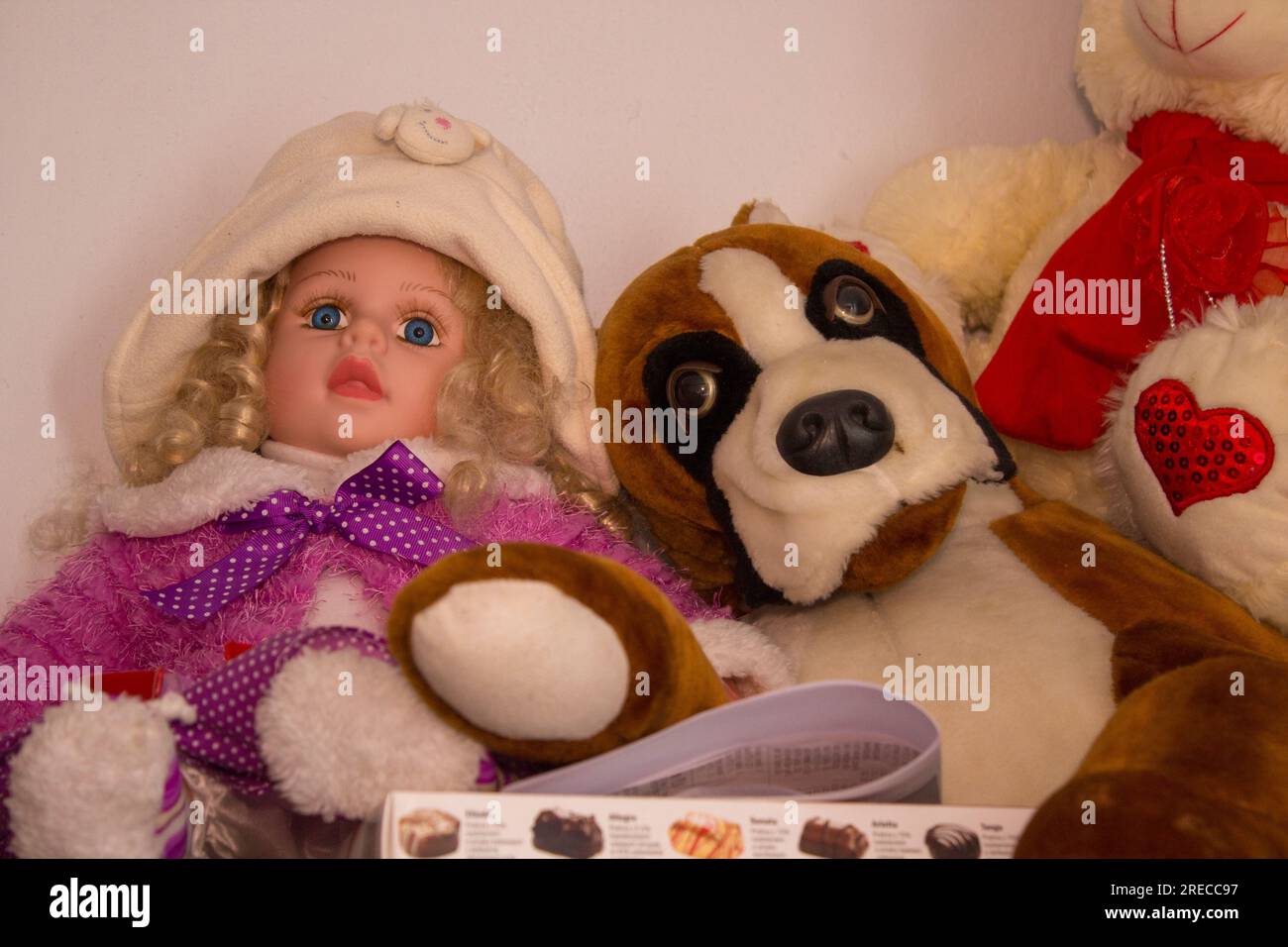 Nice doll hi-res stock photography and images - Alamy