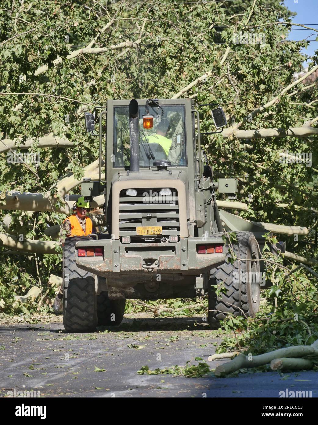 Car trees accident crushed hi-res stock photography and images - Alamy