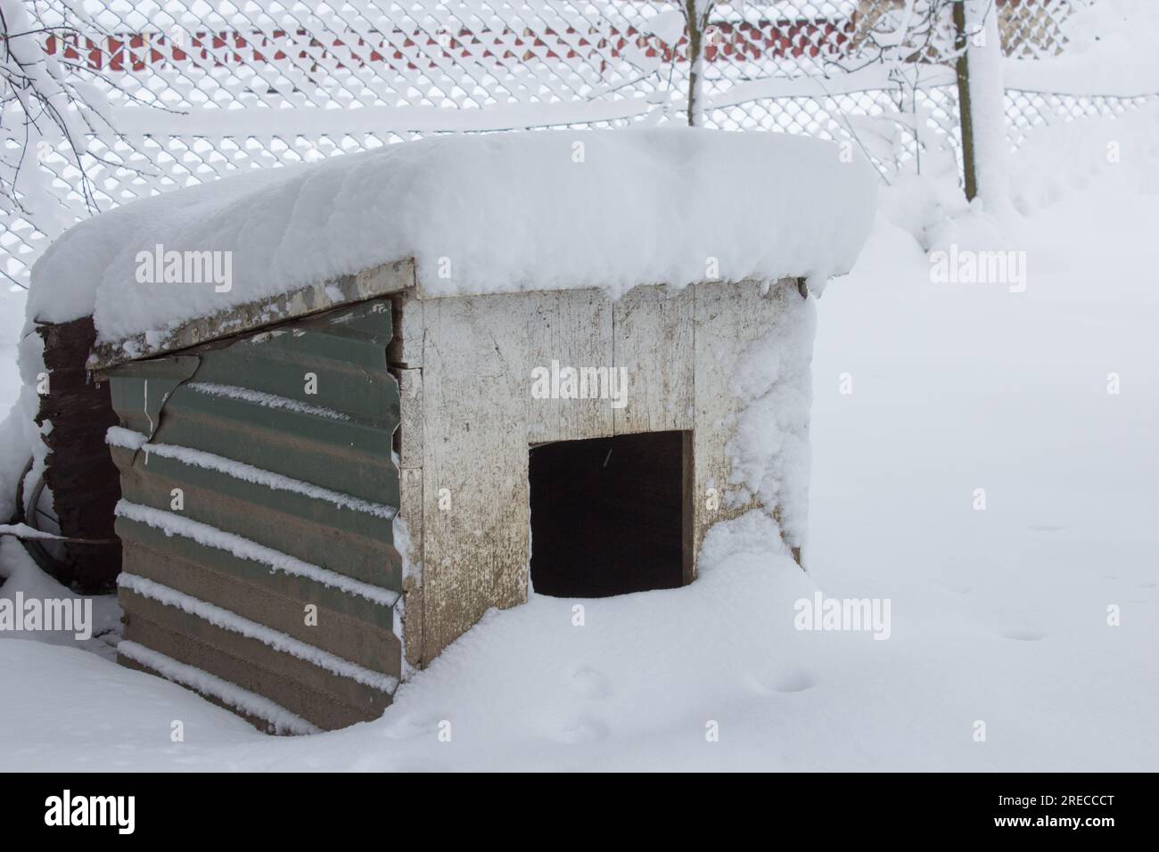 Empty dog house hi-res stock photography and images - Alamy