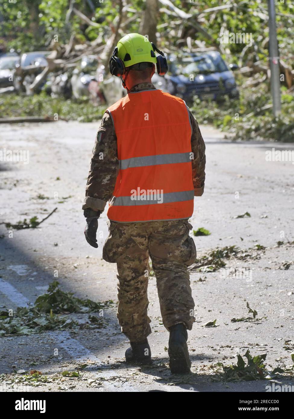 Car trees accident crushed hi-res stock photography and images - Alamy