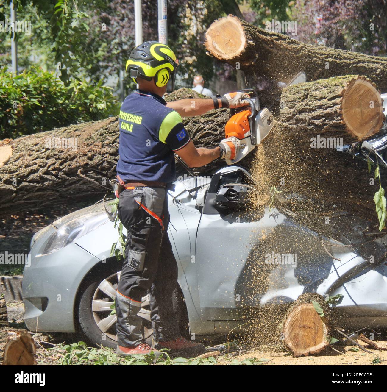 Car trees accident crushed hi-res stock photography and images - Alamy