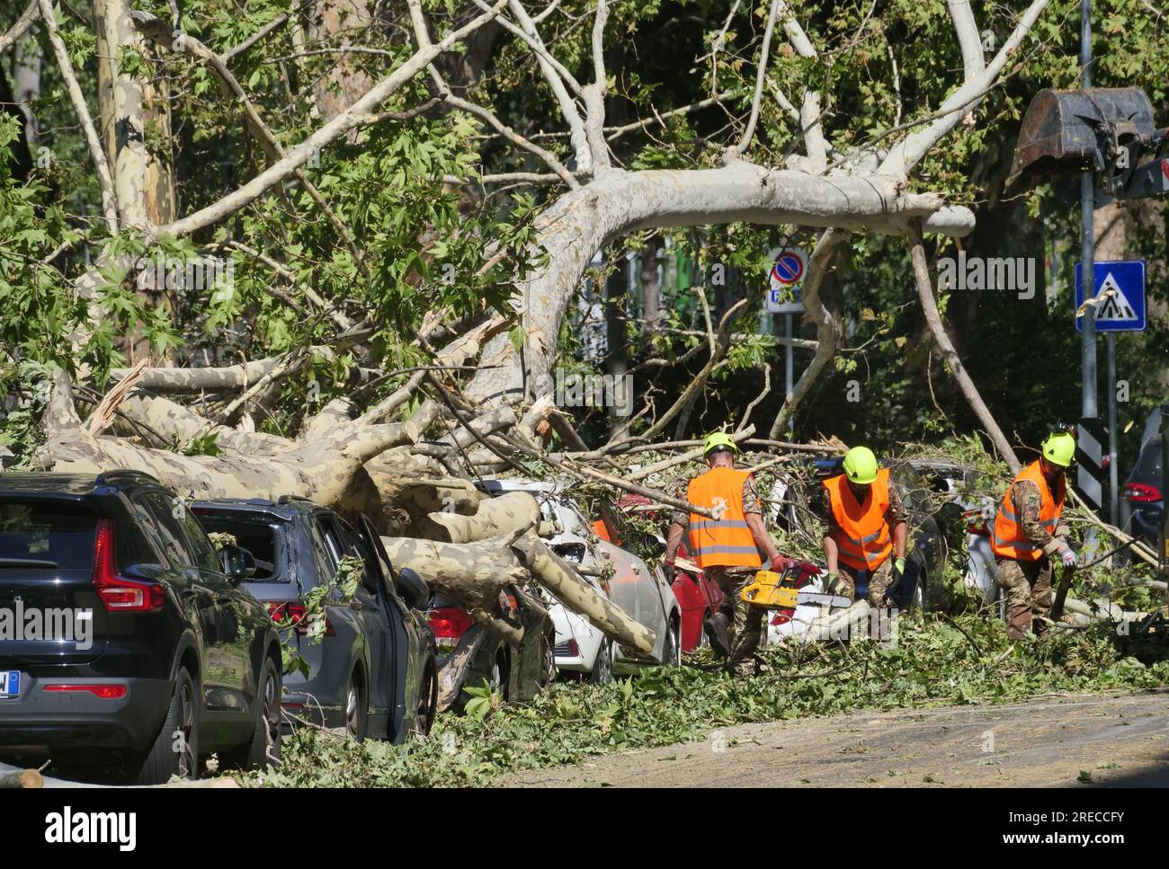 Car trees accident crushed hi-res stock photography and images - Alamy