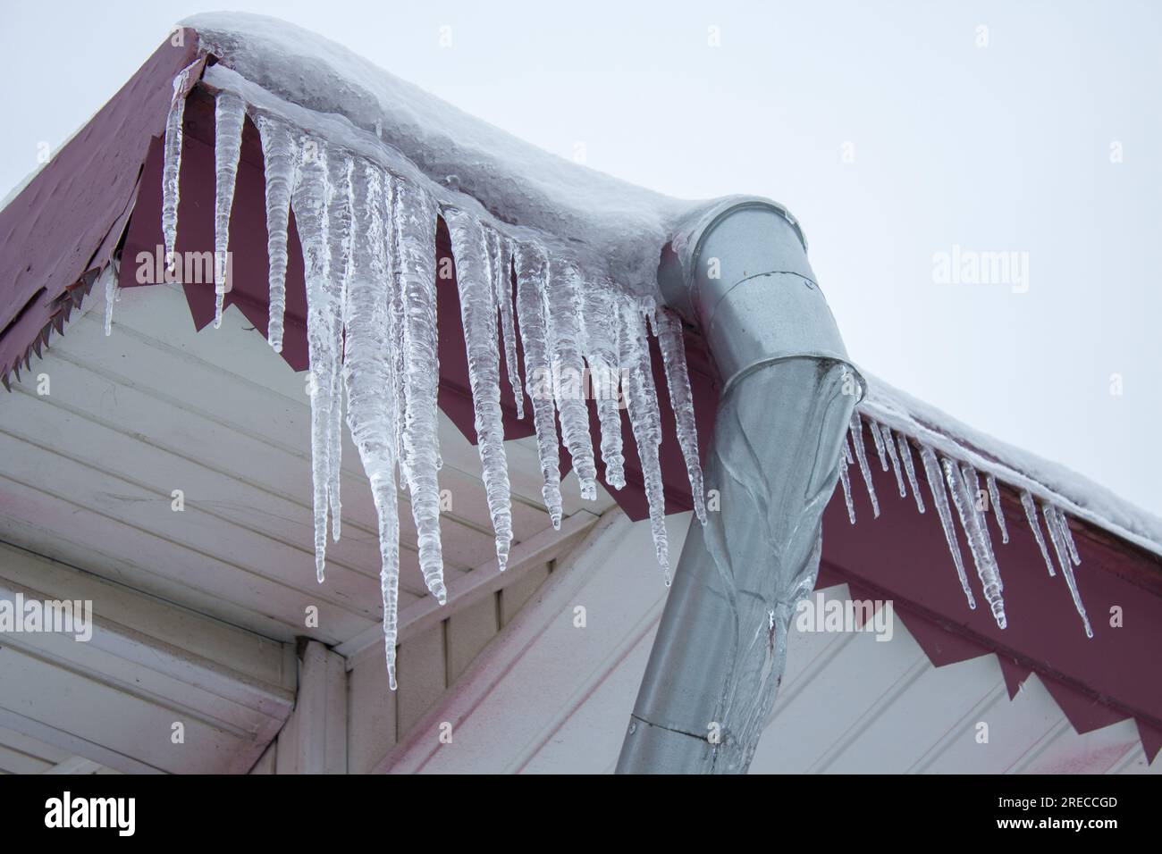 Building covered with big icicles,Icicles hang from the roof, vertical ...