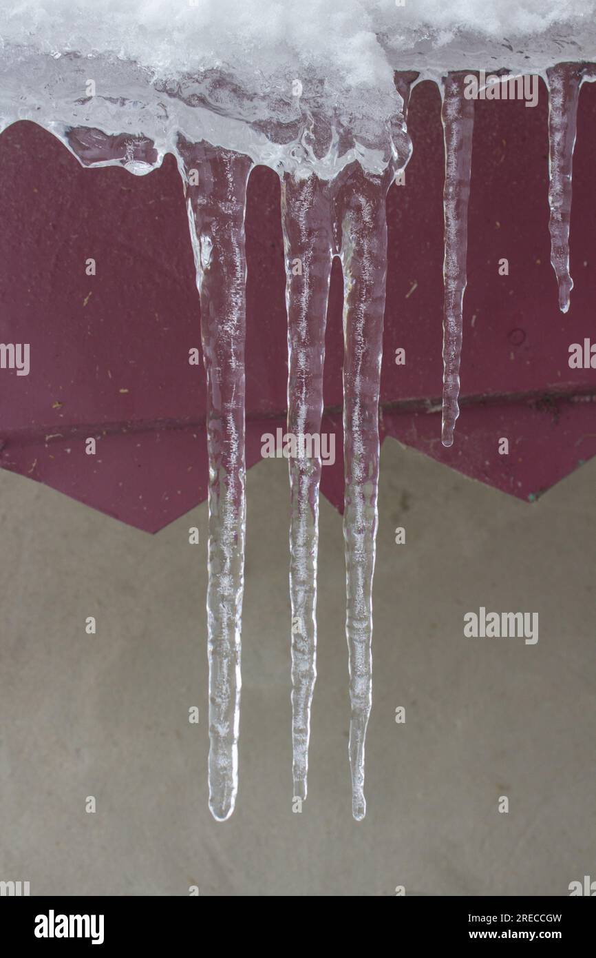 Spring transparent hi-res stock photography and images - Alamy