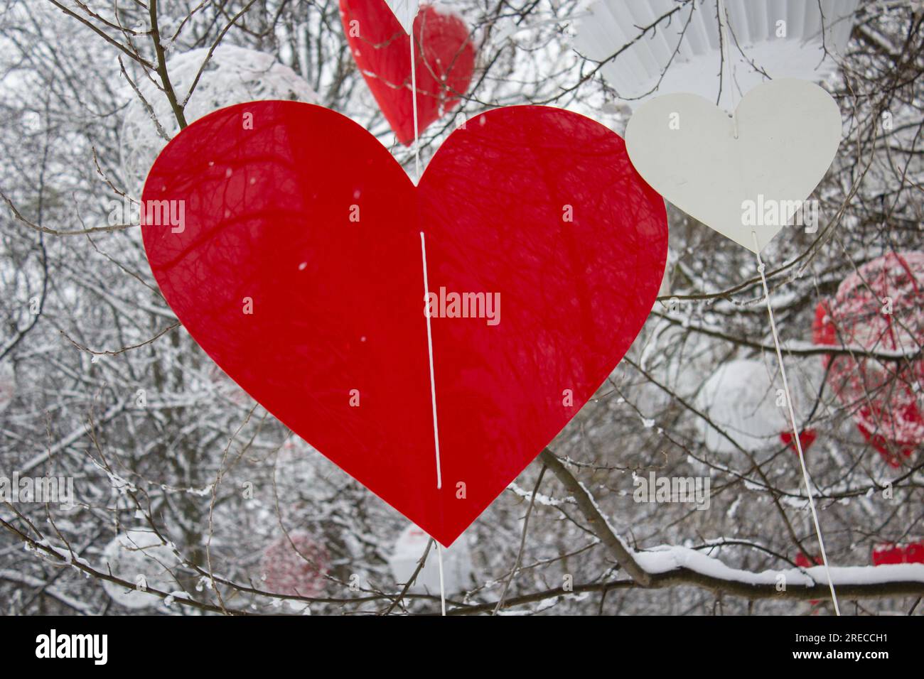 Heart hanging on a tree branch hi-res stock photography and images - Alamy