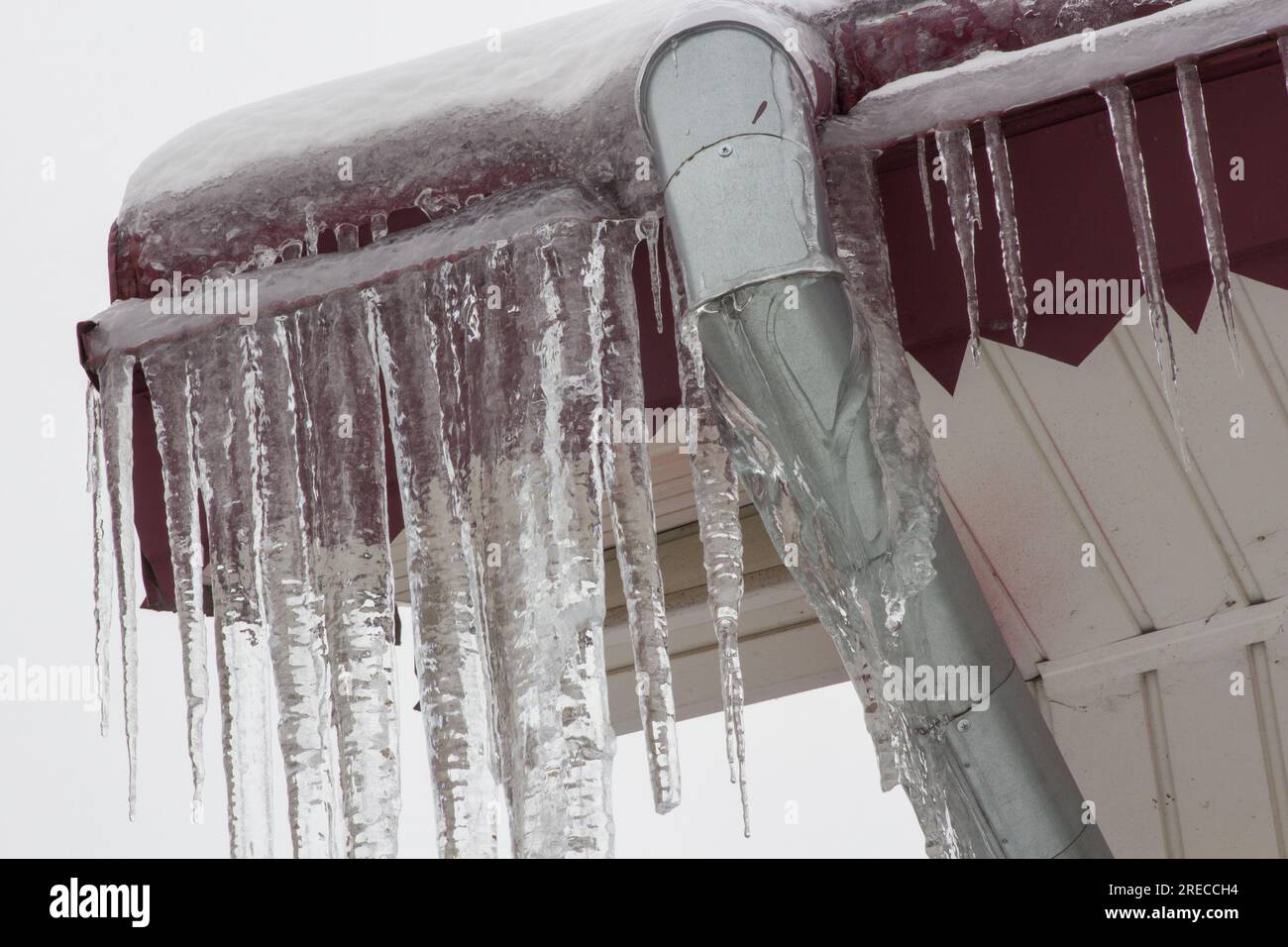 big icicles on the roof pull down Stock Photo - Alamy