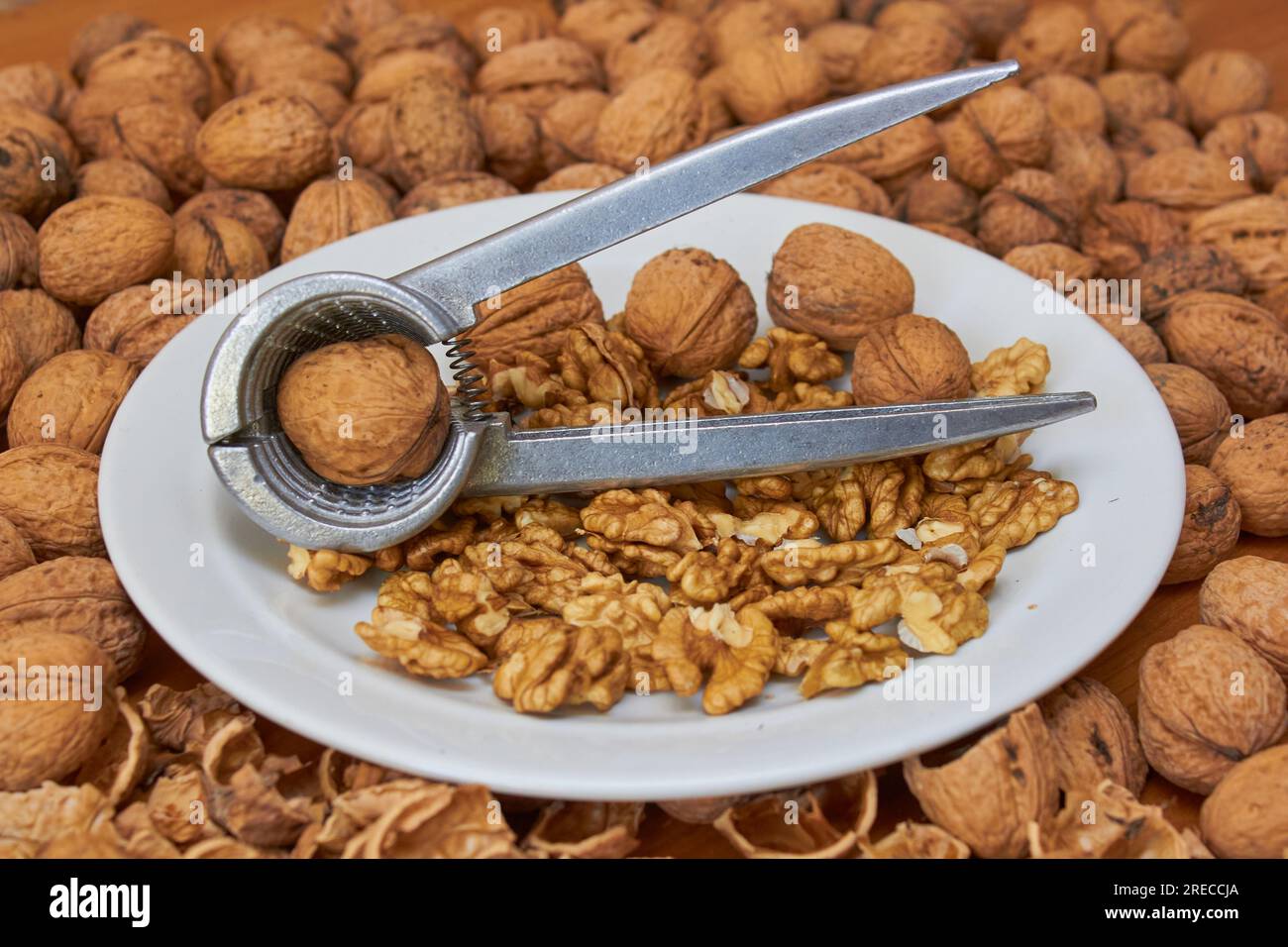 walnuts and nutcracker for shell cleaning Stock Photo - Alamy