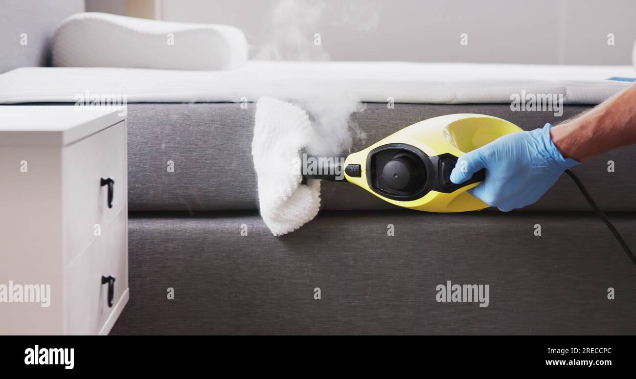 Bed Bug Pest Control Cleaning Using Steam Machine Stock Photo - Alamy