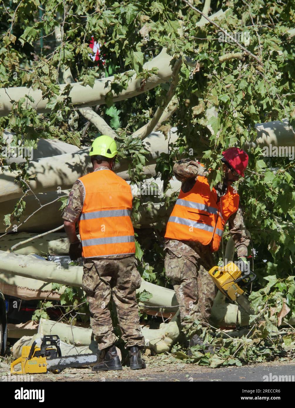 Car trees accident crushed hi-res stock photography and images - Alamy