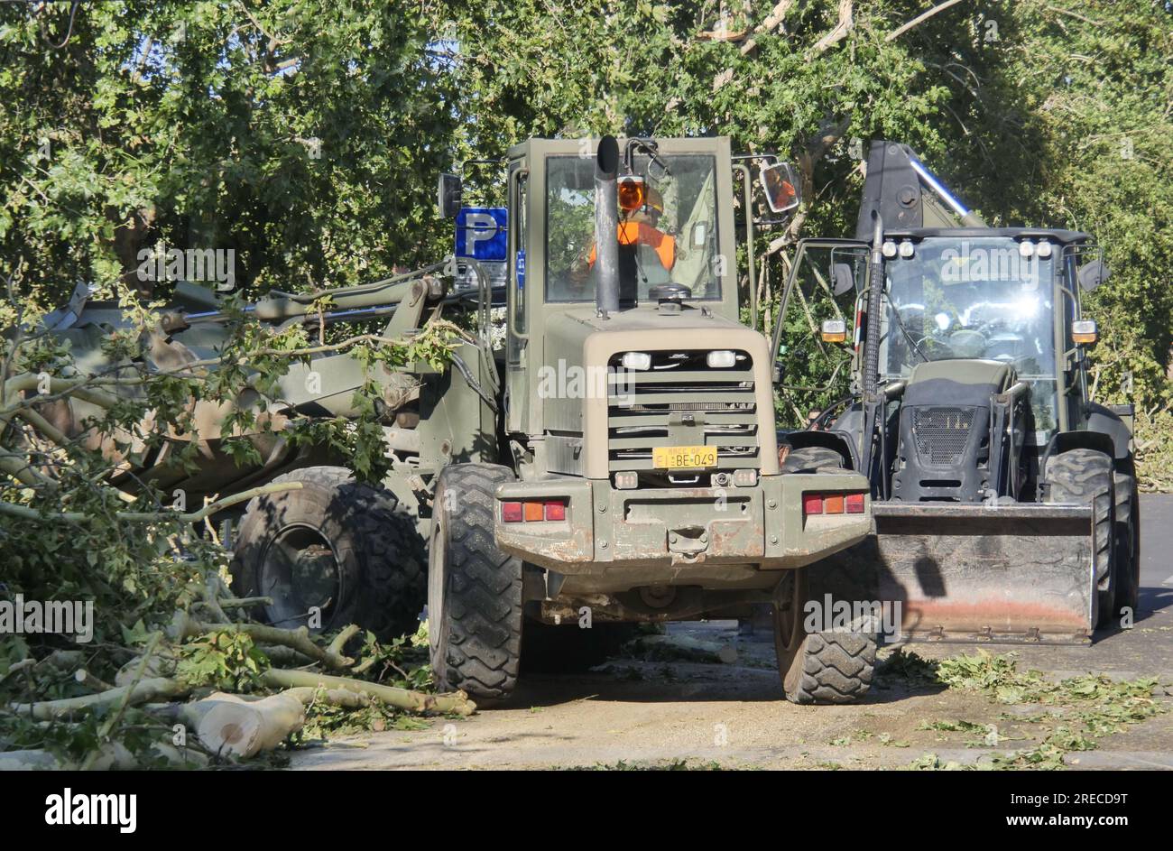 Car trees accident crushed hi-res stock photography and images - Alamy