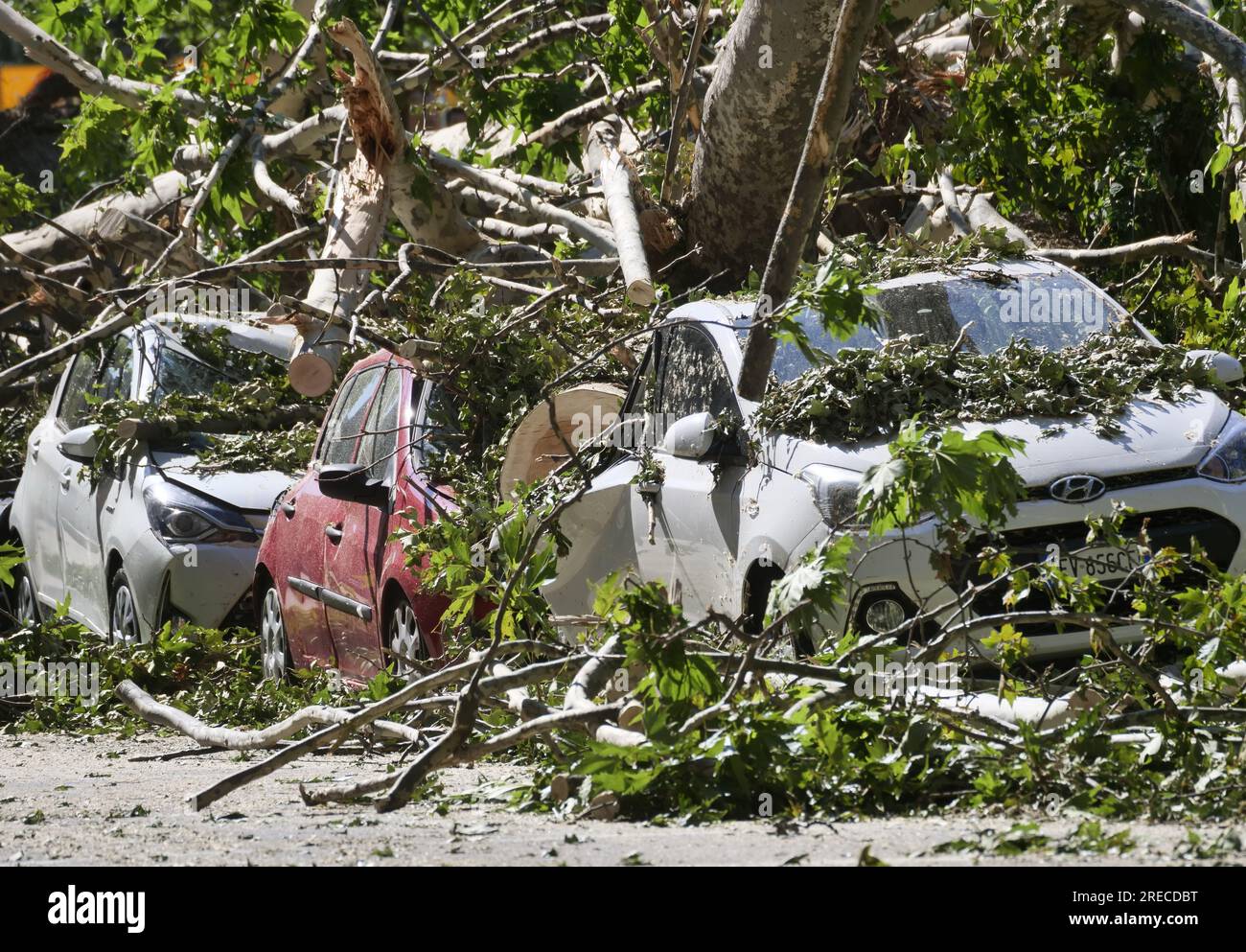 Car trees accident crushed hi-res stock photography and images - Alamy