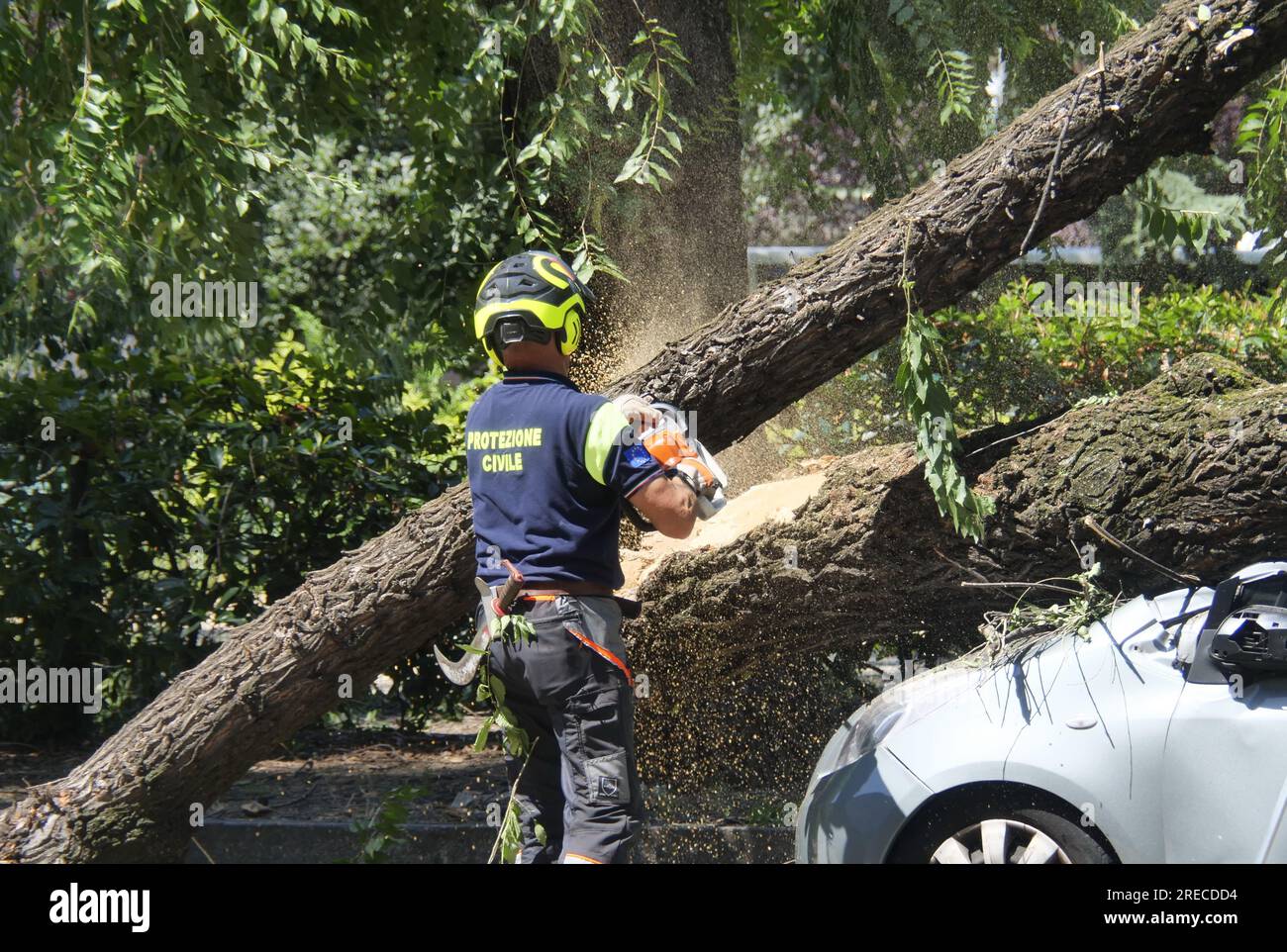 Car trees accident crushed hi-res stock photography and images - Alamy