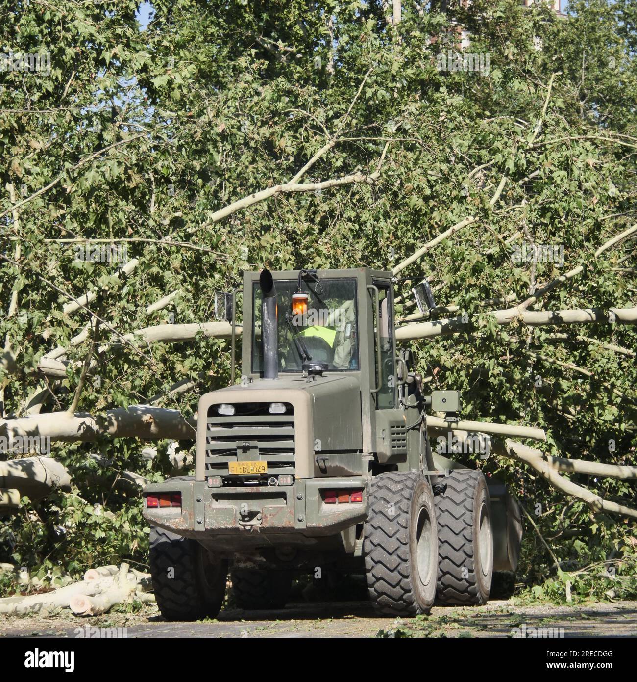 Car trees accident crushed hi-res stock photography and images - Alamy