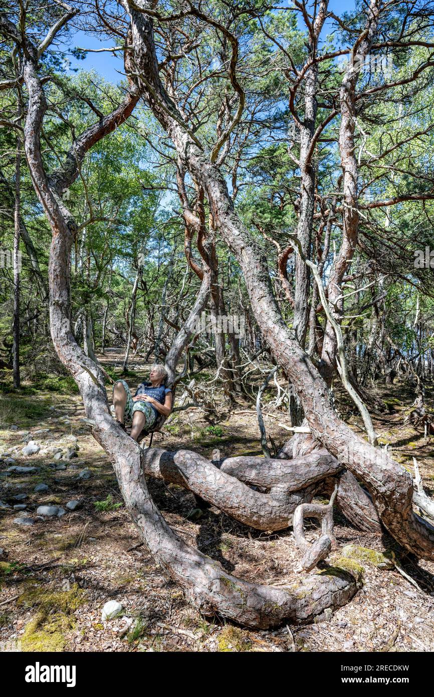Second largest island of sweden hi-res stock photography and images - Alamy