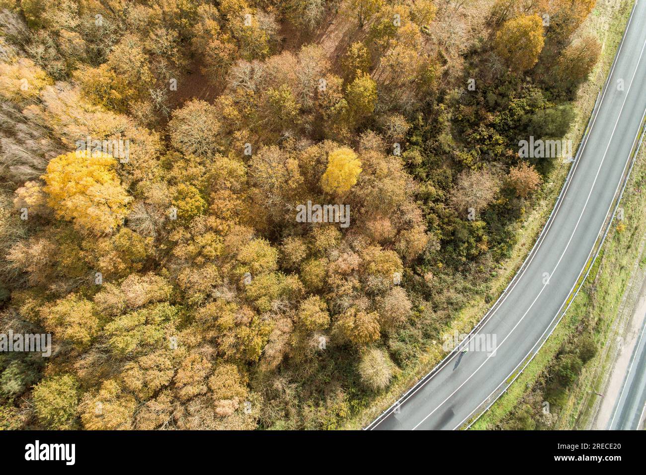 Aerial view person on bicycle hi-res stock photography and images - Alamy