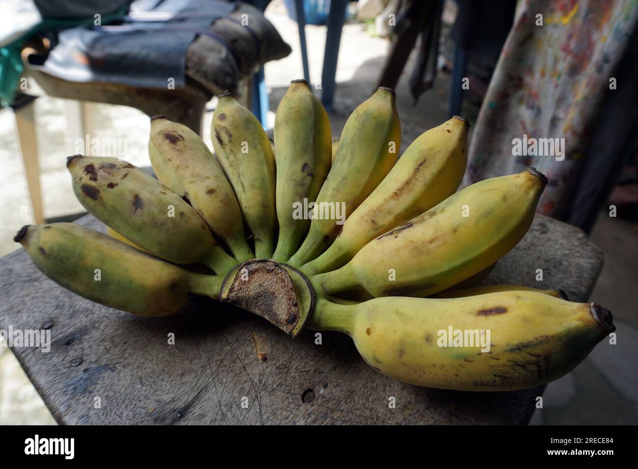 Bananas are yellow in color, ripe, tasty and nutritious Stock Photo - Alamy